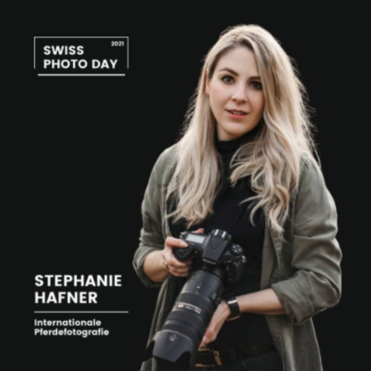 Pferdefotografie – Gridon